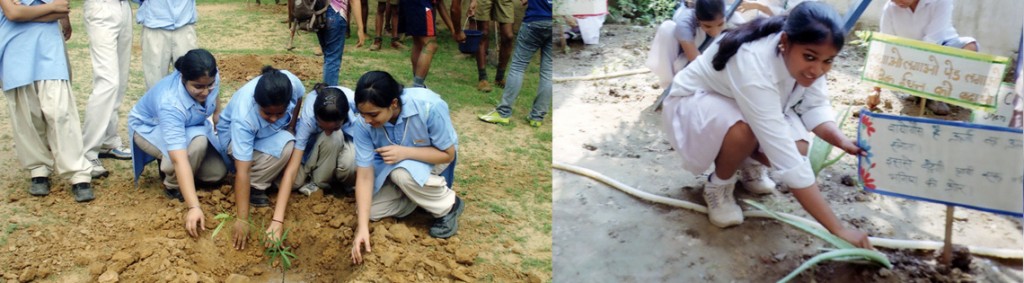 What is the Green Schools Programme (GSP)? - Green Schools Programme